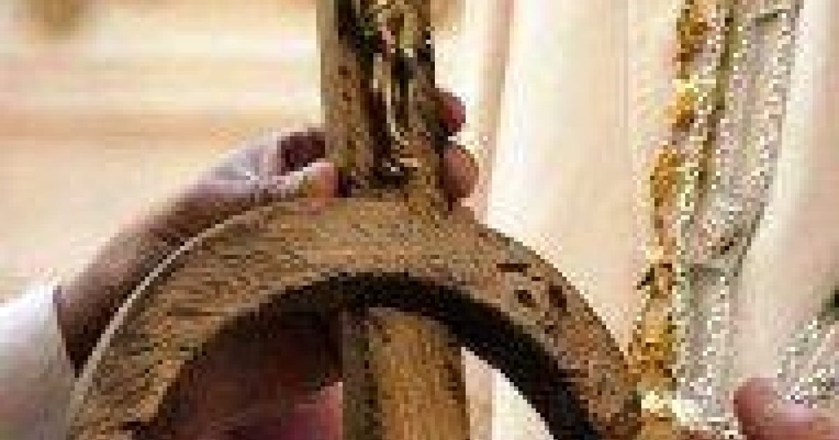 The “Communist Crucifix”: Are Socialism… | TFP Student Action Europe